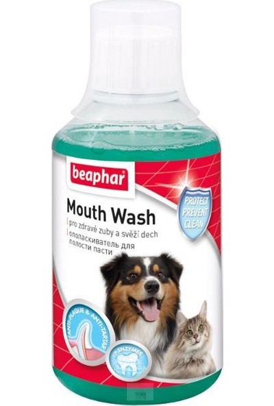 Beaphar Kedi ve Köpek Ağız Gargarası 250 ml Beaphar Kedi ve Köpek Ağız Gargarası 250 ml