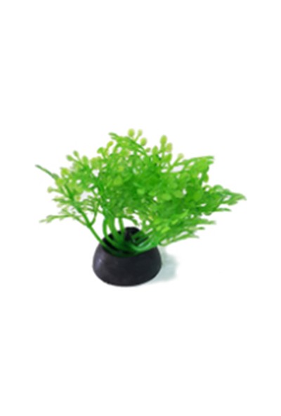 Eurogold Plastik Bitki 5 cm 2