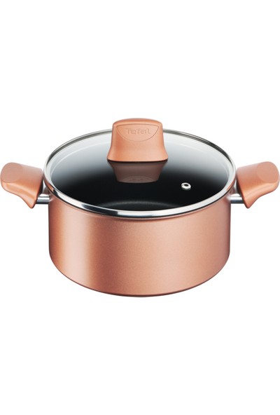 Tefal G1174402 Titanium Chef Caramelle 20 cm Derin Tencere - 2100110334