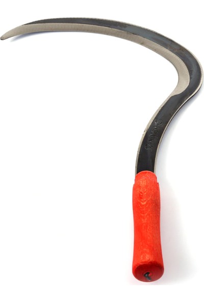Ergüven Orak Büyük Boy 50 cm Ergüven Orak Büyük Boy 50 cm