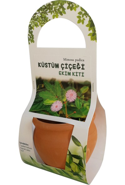 Fideland Toprak Saksılı Küstüm Çiçeği Ekim Kiti