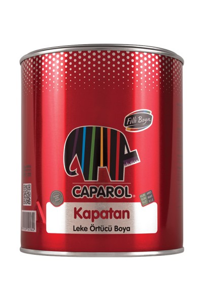 Filli Boya Caparol Kapatan Leke Örtücü Boya 0,75Lt