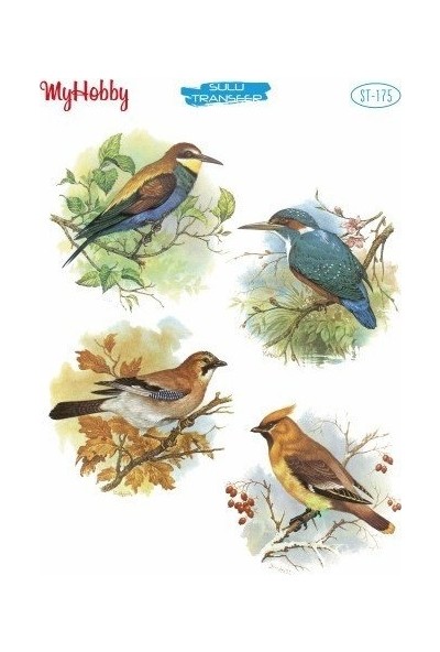 My Hobby Sulu Transfer STF-175 25 x 35 cm My Hobby Sulu Transfer STF-175 25 x 35 cm