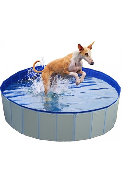 Duvo+ Dog Pool Köpek Oyun Havuzu Duvo+ Dog Pool Köpek Oyun Havuzu