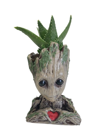 Eylül Groot Saksı 3D Dekoratif Kalpli Eylül Groot Saksı 3D Dekoratif Kalpli