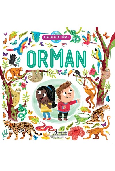 Çevremizdeki Dünya Orman