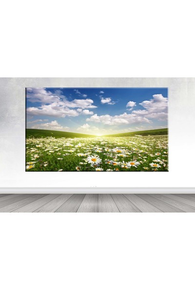 Shop365 Dev Boyut Papatya Tarlası Manzara Kanvas Tablo -100x140 cm SB-31061 Shop365 Dev Boyut Papatya Tarlası Manzara Kanvas Tablo -100x140 cm SB-31061