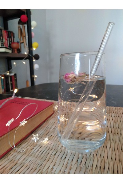 Cen Cam Şeffaf Düz Pipet