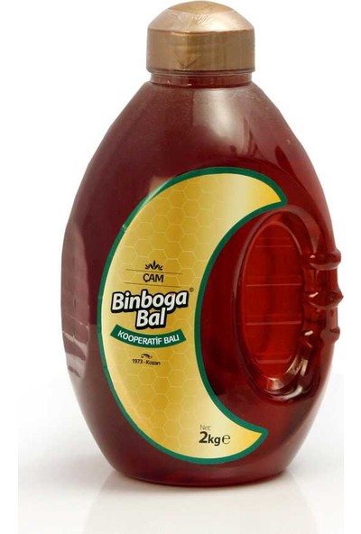 Binboğa Kooperatif Çam Balı 2 kg