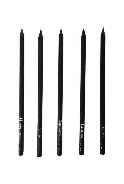 Sihir Dükkanı Wizarding World Harry Potter Kalem Seti Sihir Dükkanı Wizarding World Harry Potter Kalem Seti