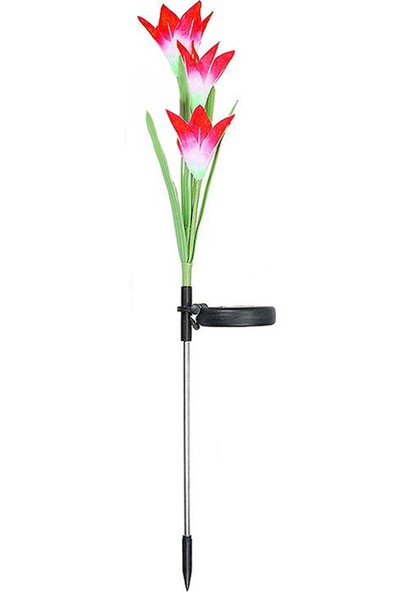 Bimbambom Solar Bahçe Lambası Zambak 7906 3Dal, 2Adet, Dekoratif Bahçe Aydınlatma Bimbambom Solar Bahçe Lambası Zambak 7906 3Dal, 2Adet, Dekoratif Bahçe Aydınlatma