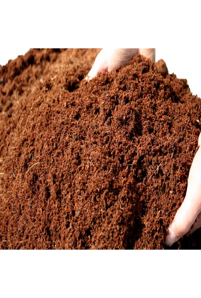 Toru Bahçe Cocopeat Hindistan Cevizi Torfu Lifi 10 Lt %100 Doğal Katkısız Toru Bahçe Cocopeat Hindistan Cevizi Torfu Lifi 10 Lt %100 Doğal Katkısız