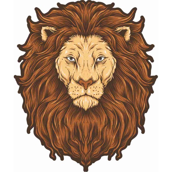 Sticker Atölyesi Aslan Sticker - 17080 Renkli 10 x 12 cm Fiyatı