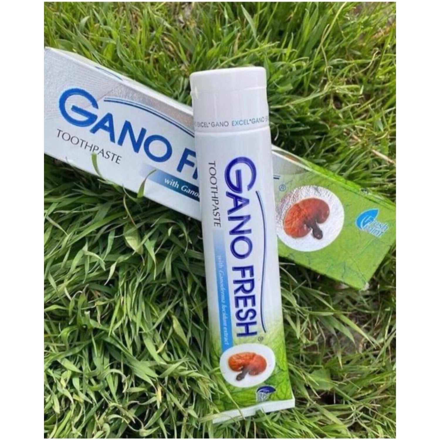 Gano Fresh Gano Diş Macunu Gano Excel Diş Macunu Fiyatı
