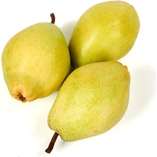 Dağlıoğlu Tarım Torbalı Armut Santa Maria Armut Fidanı 3 Fiyatı