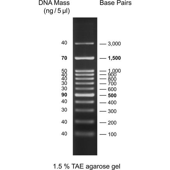 Genedirex 100BP Dna Ladder H3 Rtu (Ready-To-Use) Fiyatı