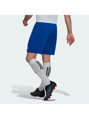 Şort Kombinleri & Modelleri ve Fiyatları | %58 indirim