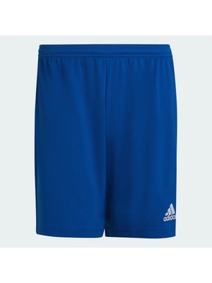 Şort Kombinleri & Modelleri ve Fiyatları | %58 indirim