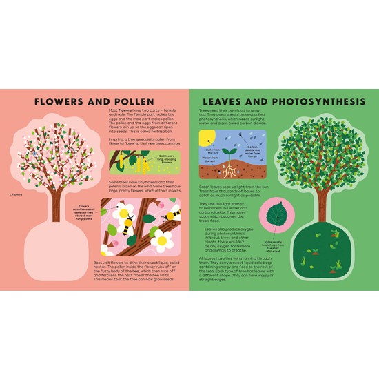 NosyCrow The Tree Book - Hannah Alice - Hannah Alice Kitabı