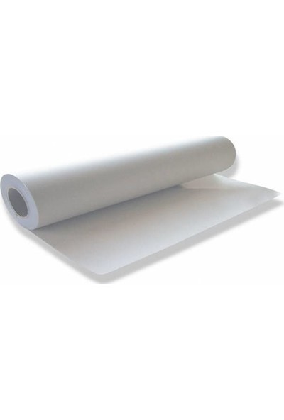 Alex Schoeller Eskiz Kağıdı 20X33 Cm Rulo 50/55