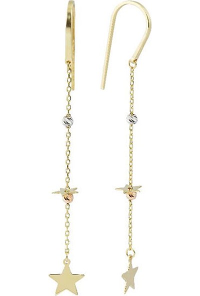 Engingold 14 Ayar Altın Sallantılı Dorika Küpe