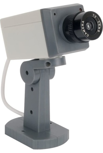 Petit Sahte Caydırıcı Güvenlik Kamerası