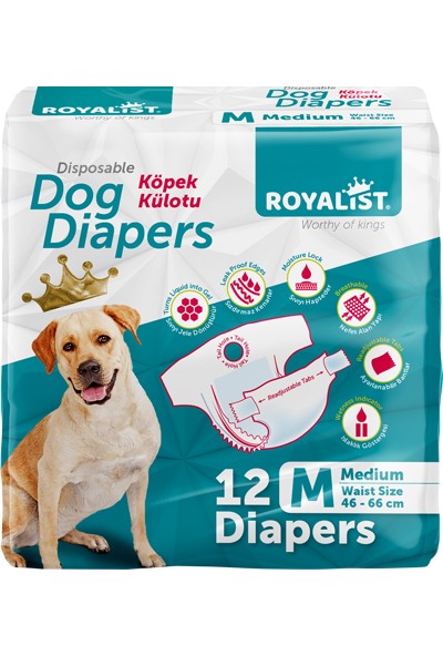 Köpek Külodu Medium 12 Li Köpek Külodu Medium 12 Li