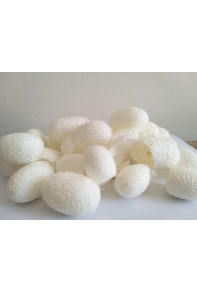 Ipek Böceği Kozası Yüz Peelingi-40 Adet