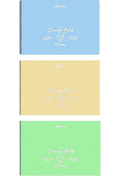 Gıpta Resim Defteri Pp Kapak Spiralli 25 Yaprak 25 x 35 cm 3'lü
