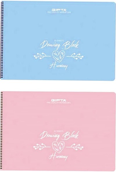 Gıpta Resim Defteri Pp Kapak Spiralli 40 Yaprak 25 x 35 cm 2'li