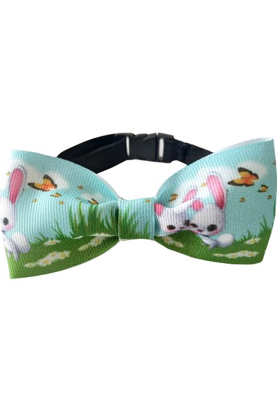 PetZoom Kedi Tasması