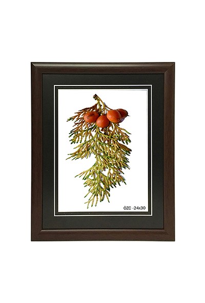 Özcanlar Dekorasyon Resim Çerçevesi 24 x 30 cm Kahverengi