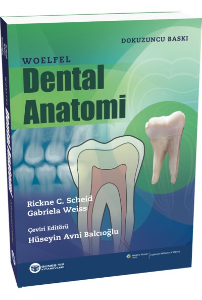 Woelfel Dental Anatomi - Hüseyin Avni Balcıoğlu
