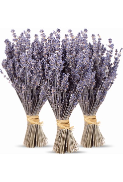 Bakbunatural 3 Adet Demet Kuru Lavanta 3 x 100 gr