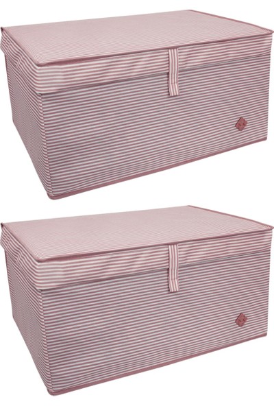 ALAS 2 Adet Kapaklı Çok Amaçlı Hurç Kutu Mega 60 x 40 x 30 cm Pembe ALAS 2 Adet Kapaklı Çok Amaçlı Hurç Kutu Mega 60 x 40 x 30 cm Pembe