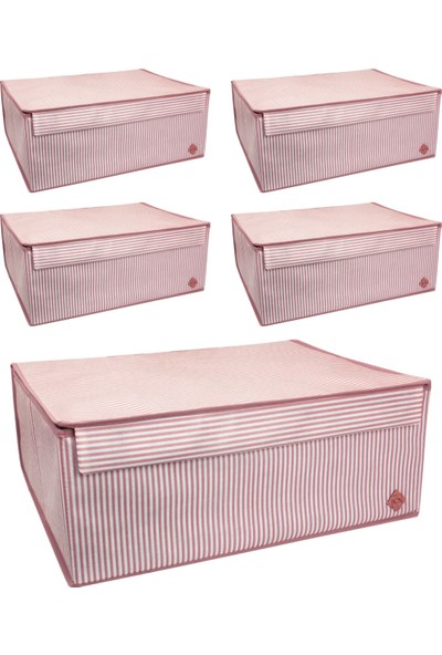 ALAS 5 Adet Kapaklı Çok Amaçlı Hurç Kutu Baza 50 x 40 x 19 Pembe ALAS 5 Adet Kapaklı Çok Amaçlı Hurç Kutu Baza 50 x 40 x 19 Pembe
