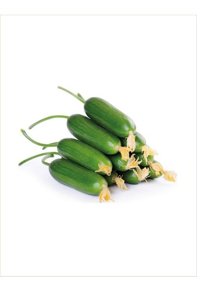 Vitaminye Çengelköy - 500 gr