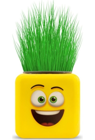 Erbay Çimoji Yeni Nesil Emoji Küp Çim Adam 24'lü