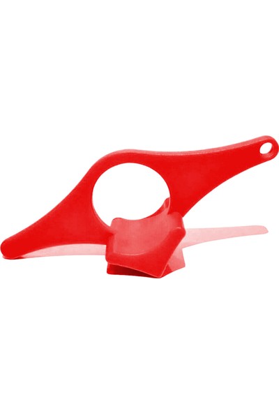 Alyones Kitap Okuma Yüzüğü