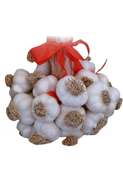 Bizim Stok - Hakiki Kastamonu Taşköprü Sarımsağı Double Boy 1 kg Bizim Stok - Hakiki Kastamonu Taşköprü Sarımsağı Double Boy 1 kg