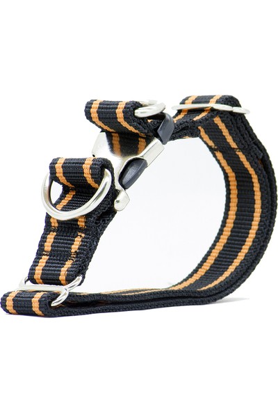 Petviya Ayarlanabilir Çift Katmanlı Köpek Boyun Tasması Turuncu