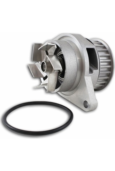 İlkay Polo Aee Alm Devirdaim