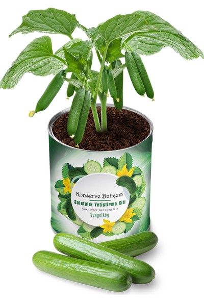 Konserve Bahçem Salatalık Yetiştirme Kiti