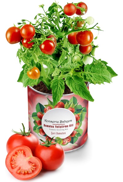 Konserve Bahçem Domates Yetiştirme Kiti