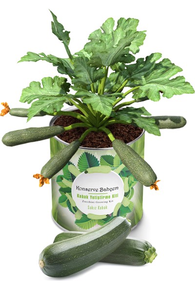 Konserve Bahçem Kabak Yetiştirme Kiti