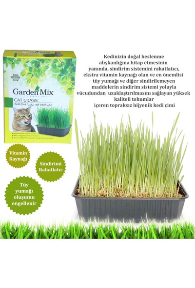 Gardenmix Kedi Çimi