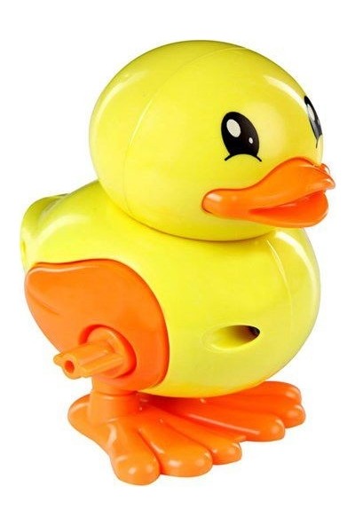 Birlik Kurmalıgiller Ördek