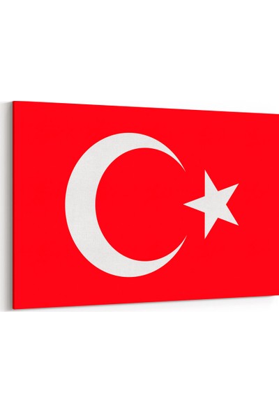 Tabrika Türk Bayrağı Tablosu