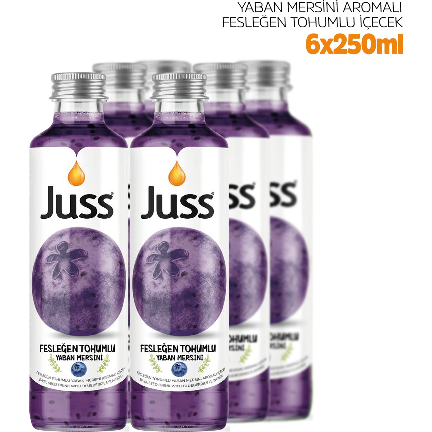 Juss Fesleğen Tohumlu Yaban Mersini Aromalı Meyve Suyu 6'lı Fiyatı