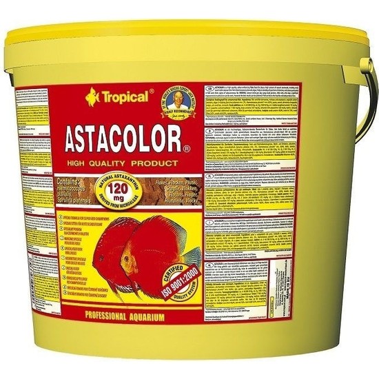 Tropical Asta Color Flakes Kovadan Bölme 1000 gr Fiyatı